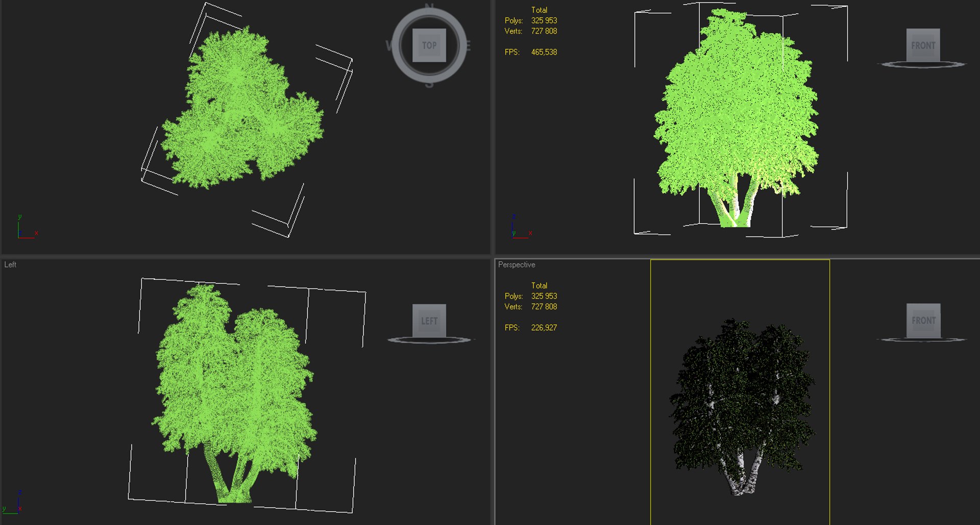 3d realistic birch model