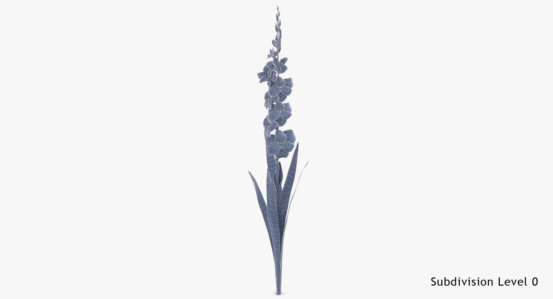 3D Violet - Model - TurboSquid 1392135