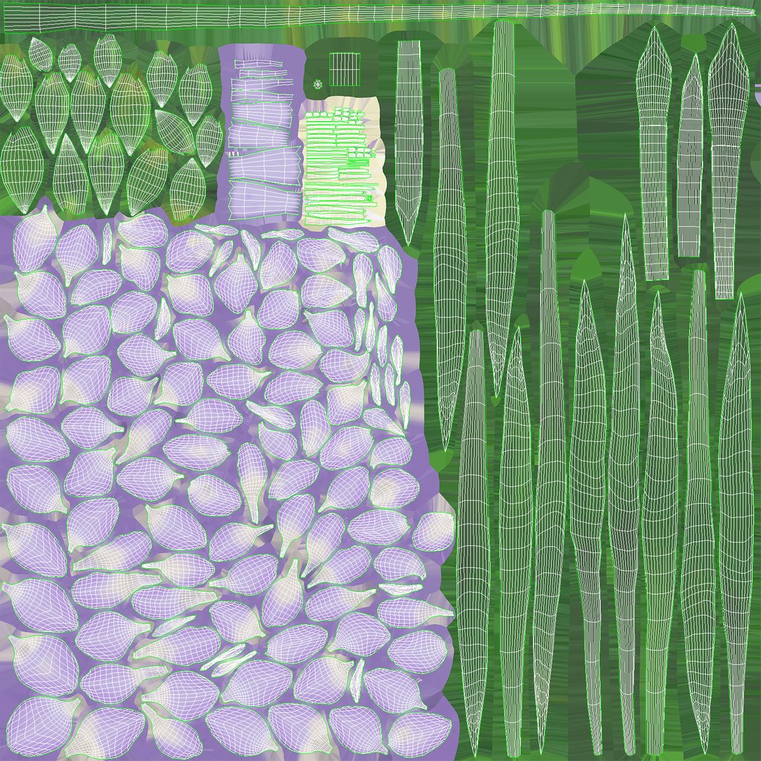 3D Violet - Model - TurboSquid 1392135