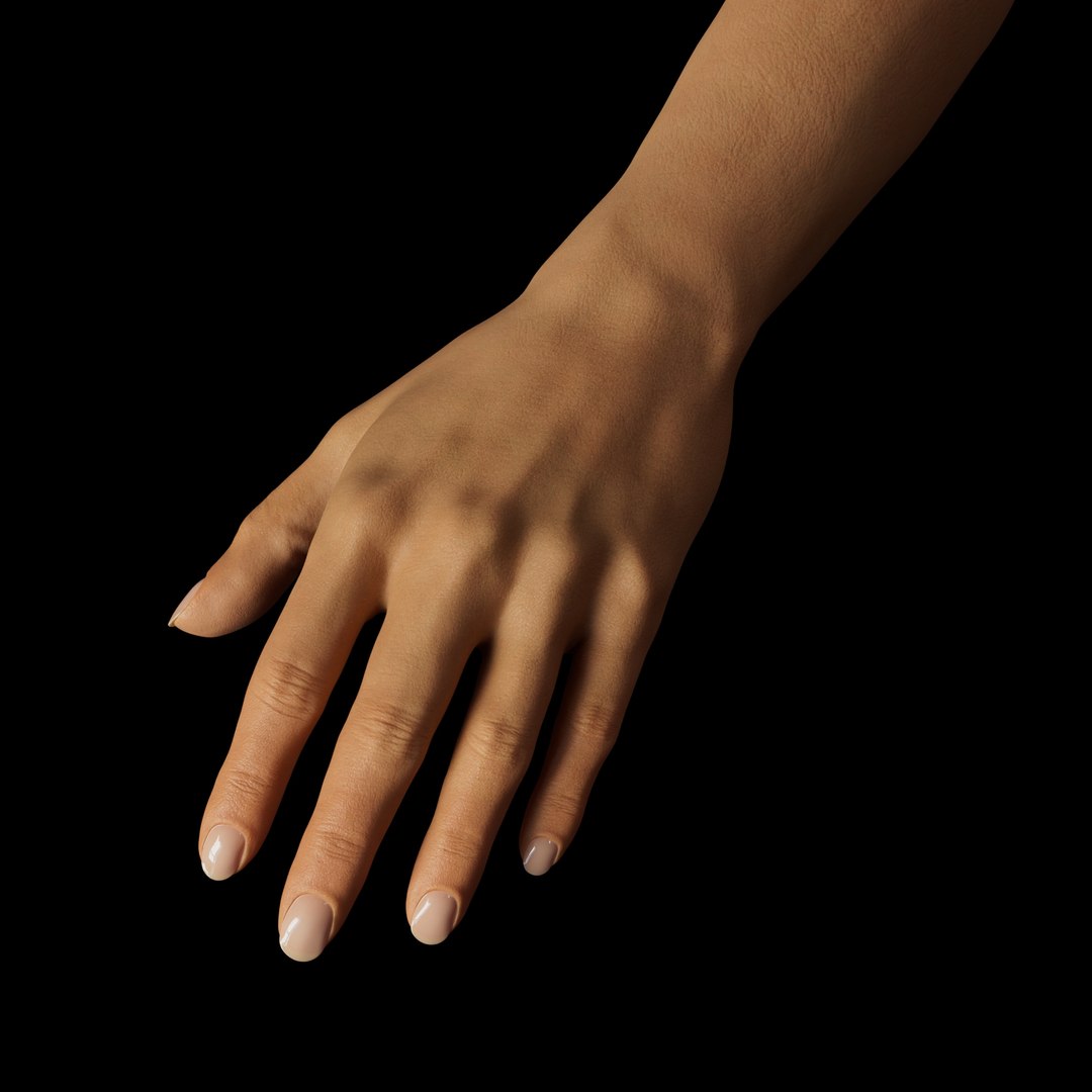 3D REALISTIC FEMALE ARM RIGGED Model - TurboSquid 2306349