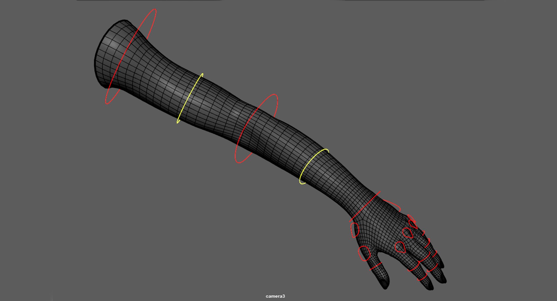 3D REALISTIC FEMALE ARM RIGGED Model - TurboSquid 2306349