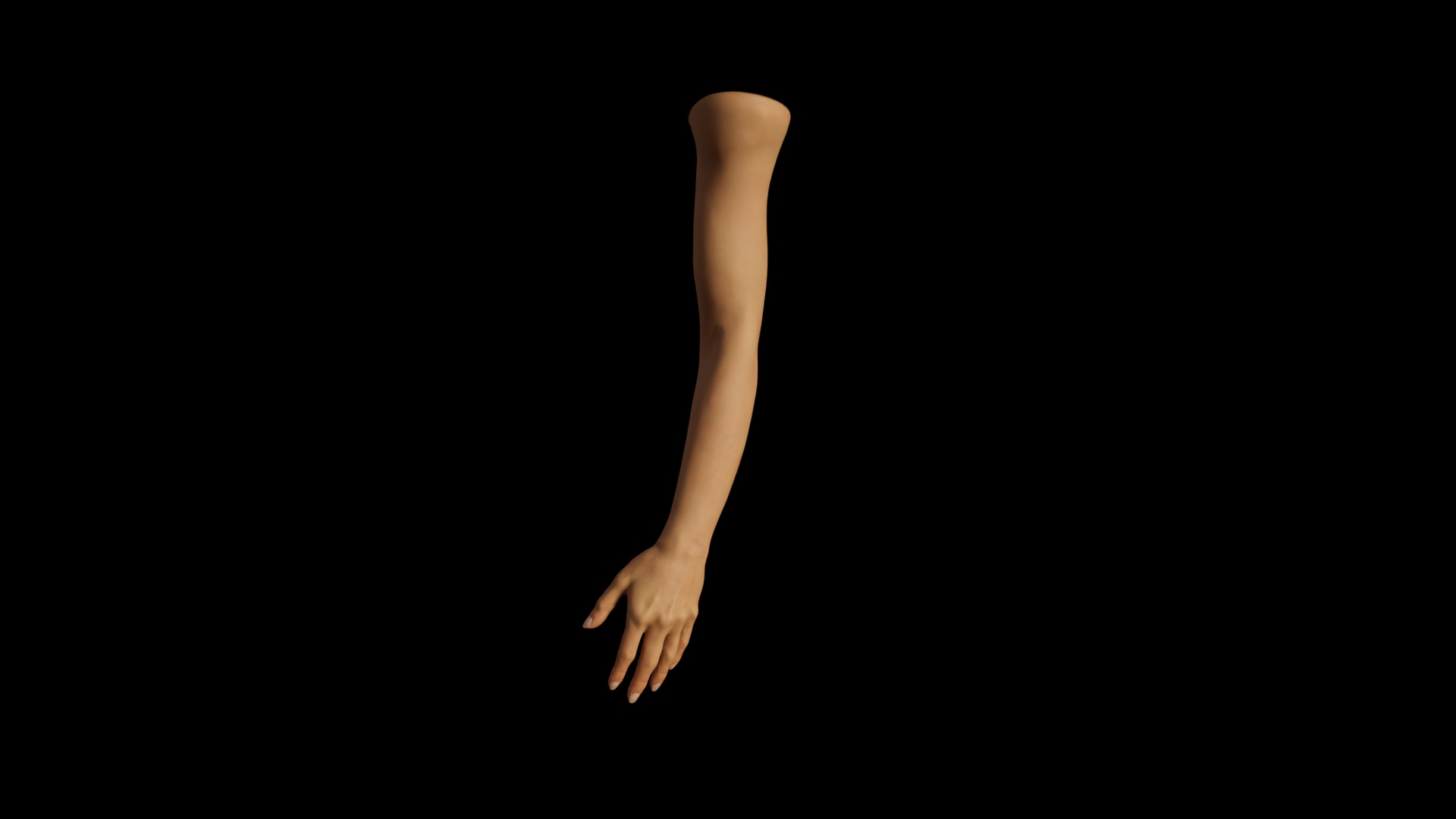 3D REALISTIC FEMALE ARM RIGGED Model - TurboSquid 2306349