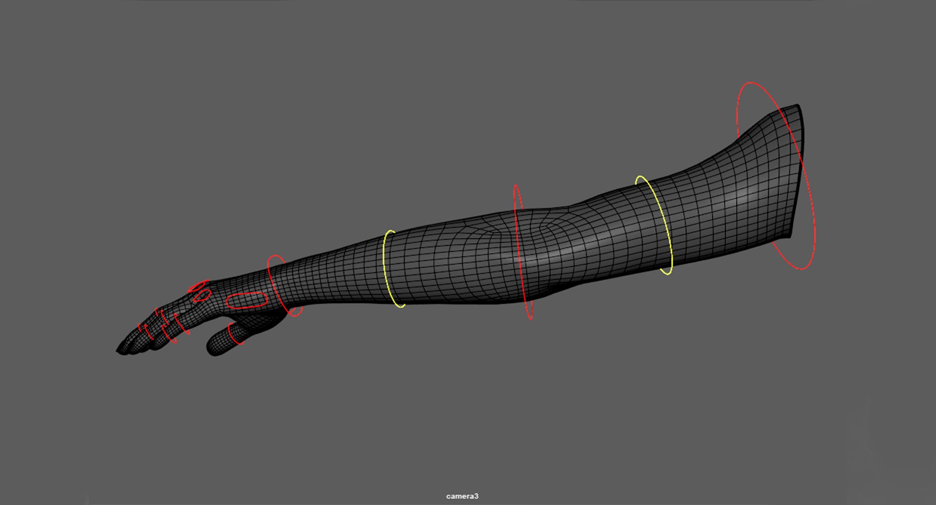 3D REALISTIC FEMALE ARM RIGGED Model - TurboSquid 2306349