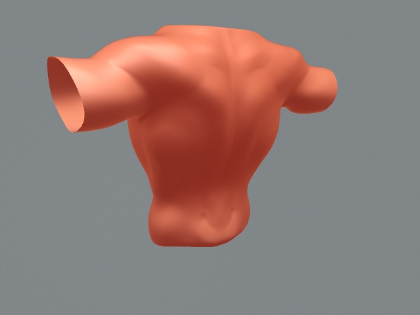 Maya Male Torso