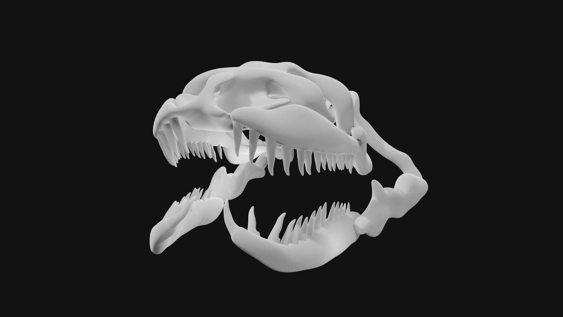 3D Anaconda Skull Model - TurboSquid 1991837