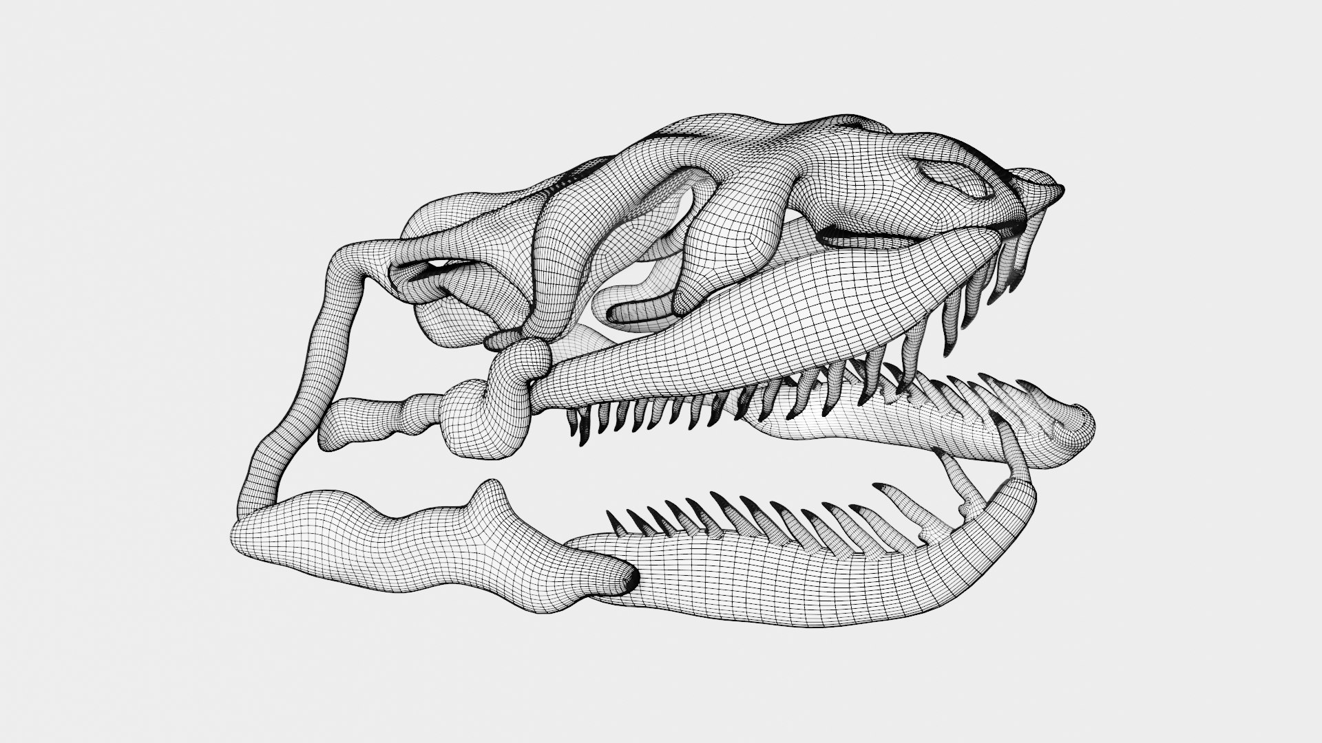 3D Anaconda Skull Model - TurboSquid 1991837