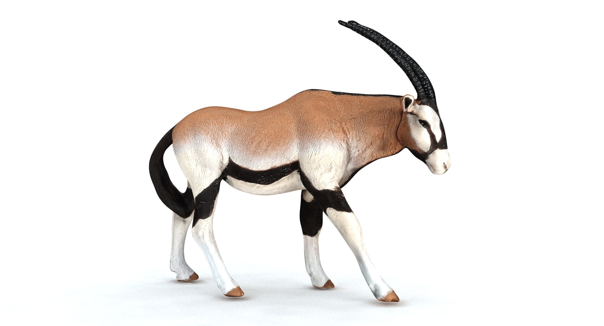 3d Model Of Oryx