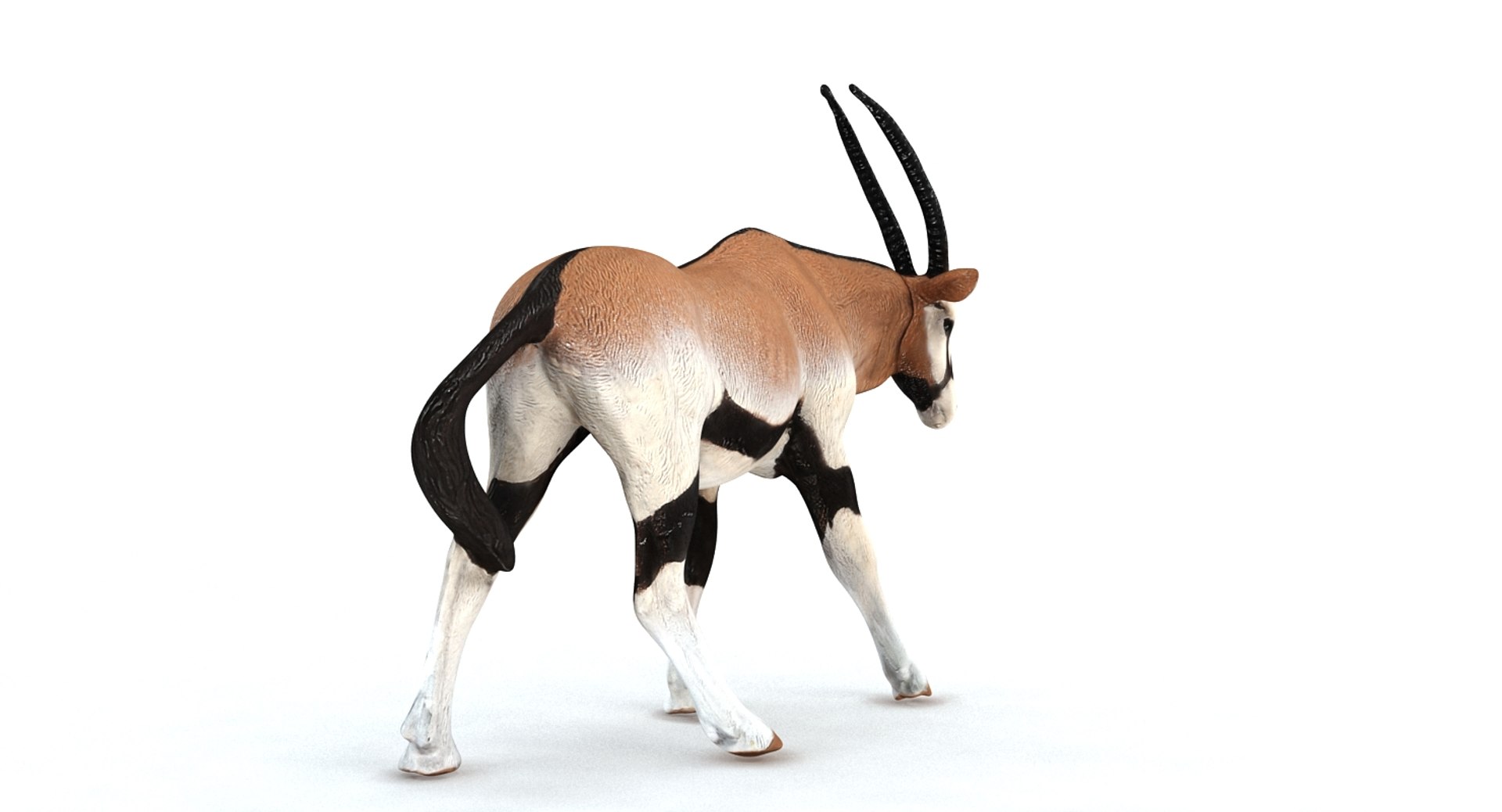 3d Model Of Oryx
