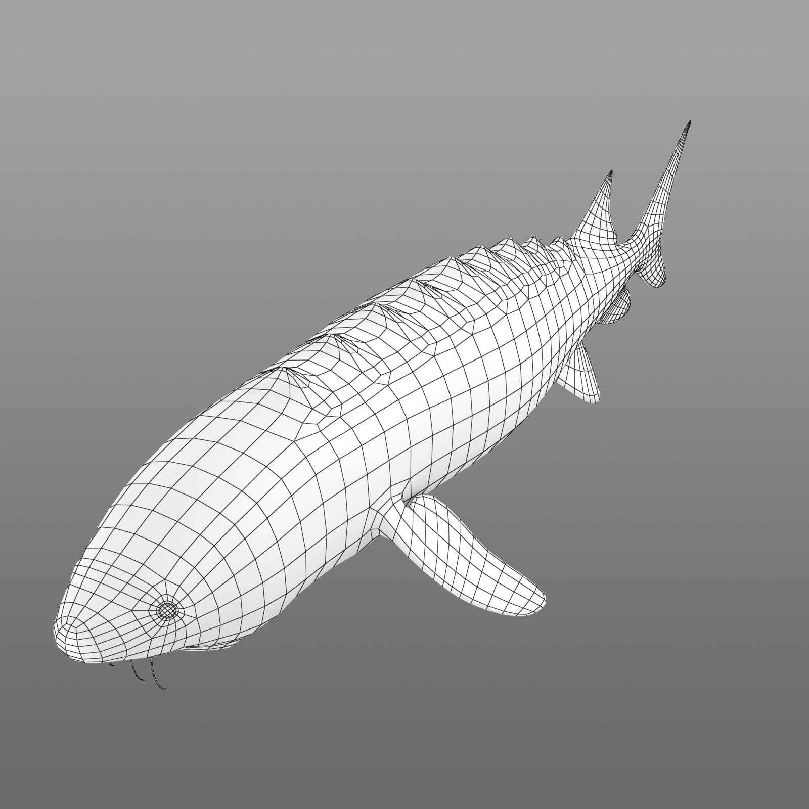 3d sturgeon fish