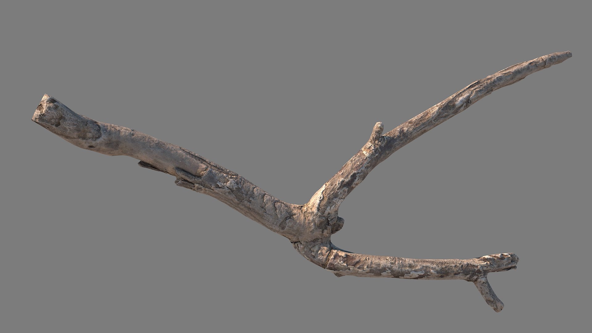 Twig Scanned 07 3D - TurboSquid 2088908