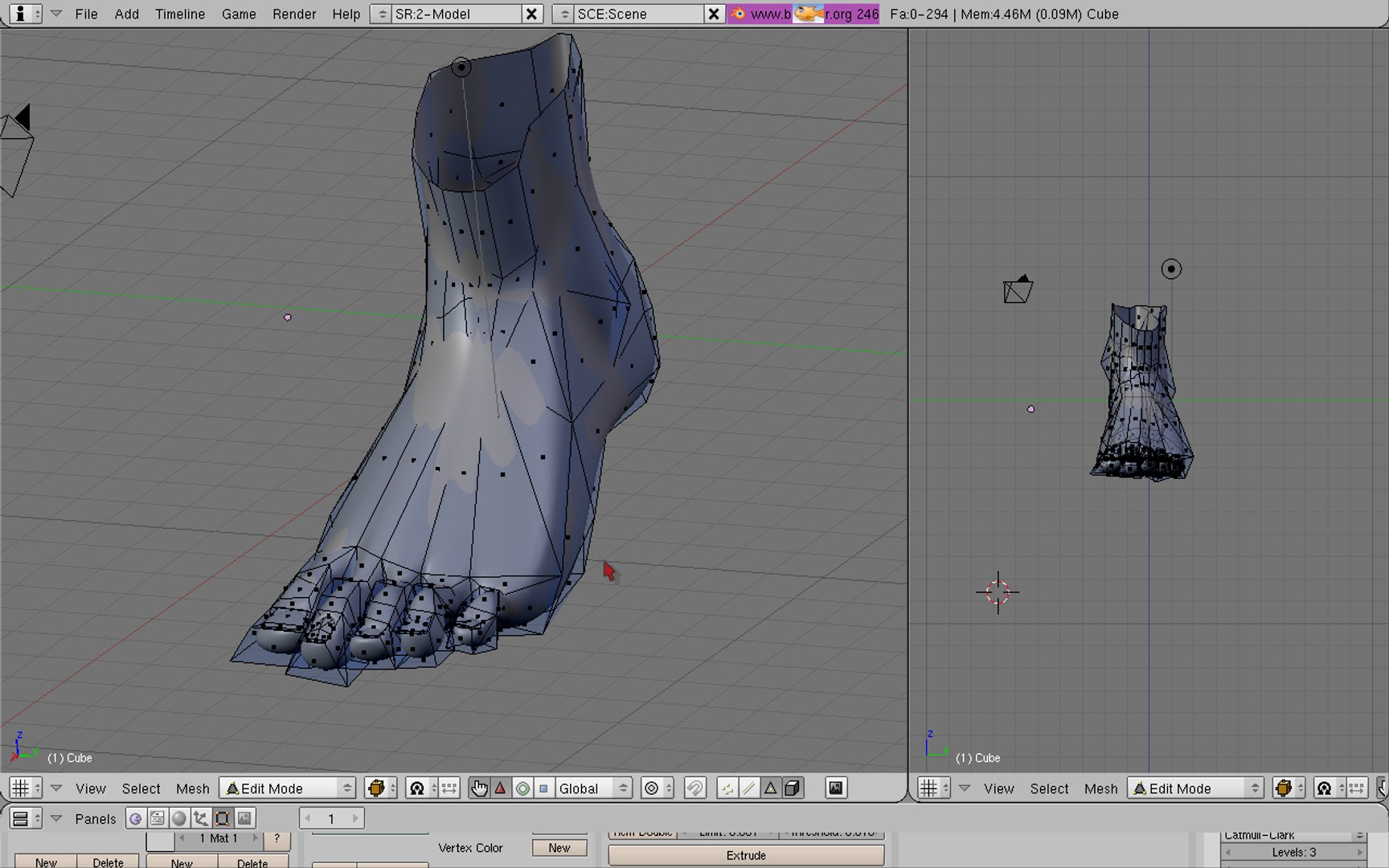Free Blend Model Male Foot