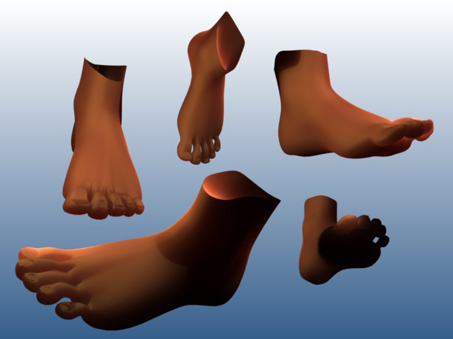 Free Blend Model Male Foot