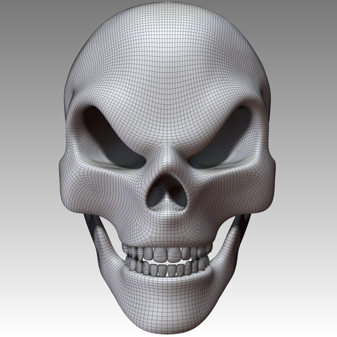 3d Skull Model