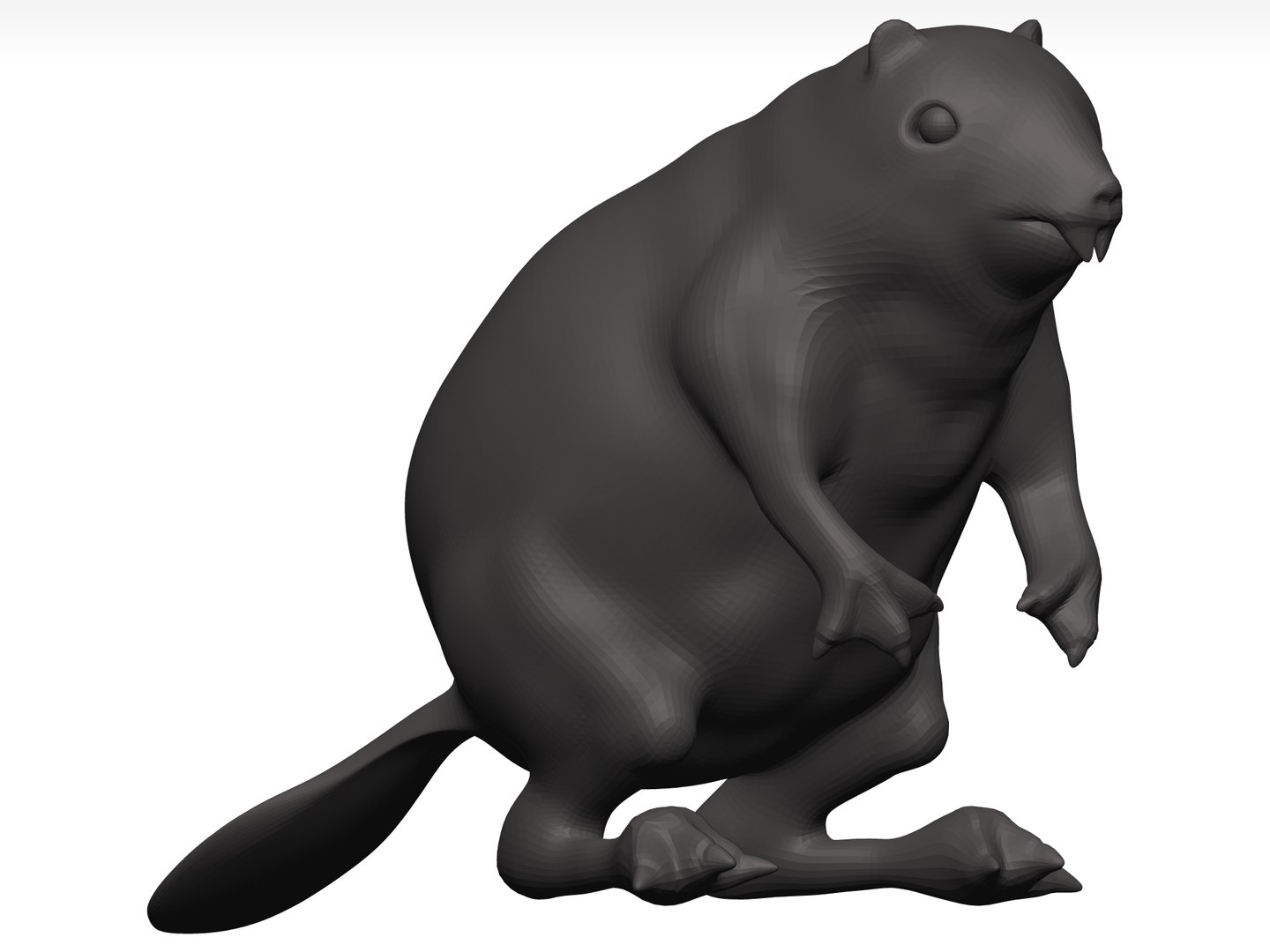 Beaver Stl 3D Model - TurboSquid 1774104