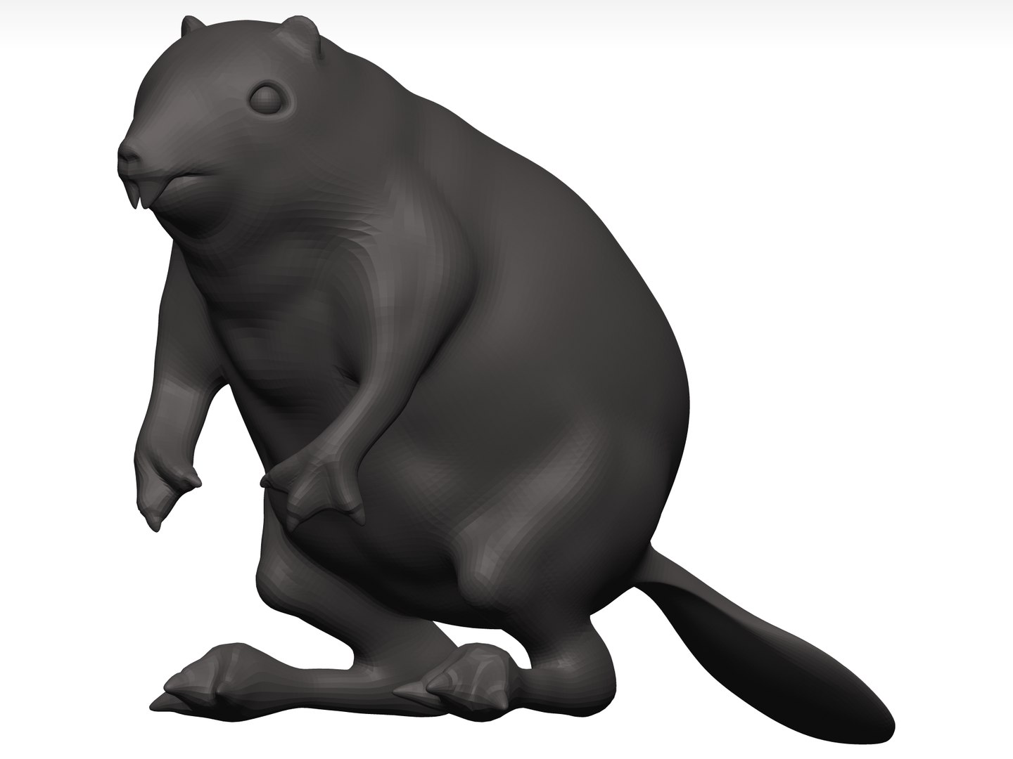 Beaver Stl 3D Model - TurboSquid 1774104