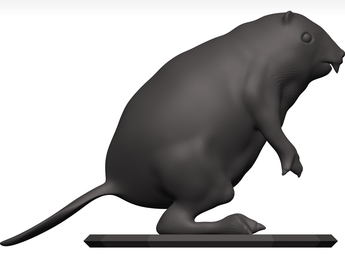 Beaver Stl 3D Model - TurboSquid 1774104