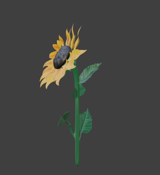 Sunflower flower 3D model - TurboSquid 1544718