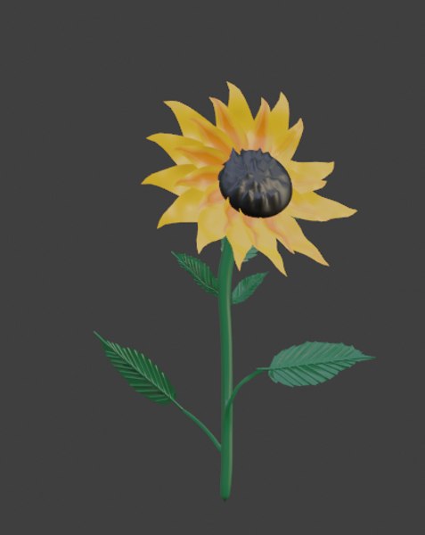 Sunflower flower 3D model - TurboSquid 1544718