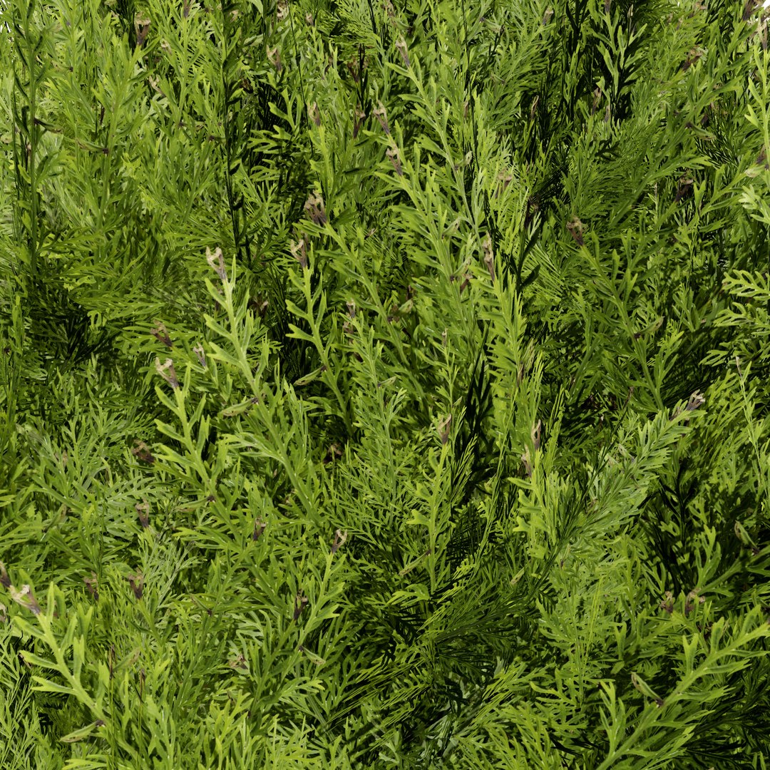 Ball And Conical Topiary Plants 3D Model - TurboSquid 2184923