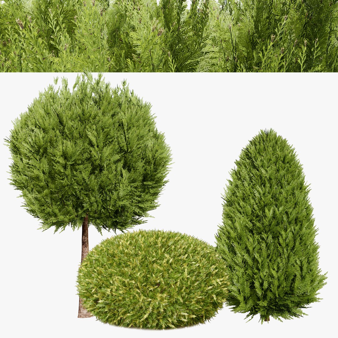 Ball And Conical Topiary Plants 3D Model - TurboSquid 2184923