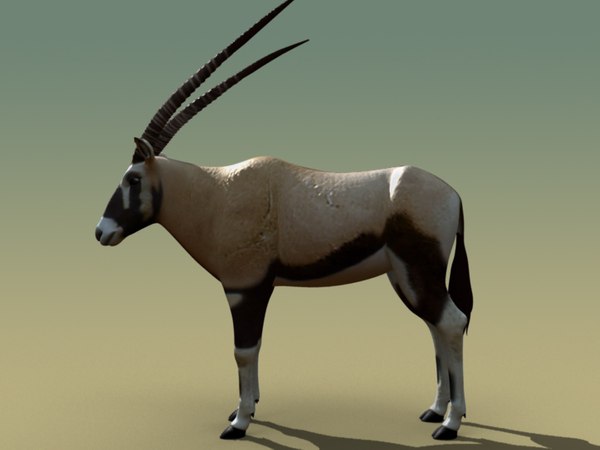 3d oryx