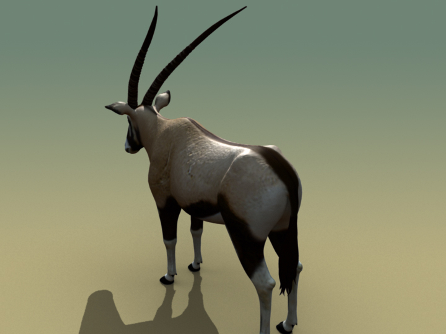 3d oryx