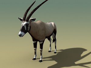 3D Oryx Models | TurboSquid