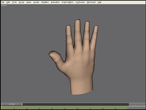 Free Rigged 3D Hand Models | TurboSquid