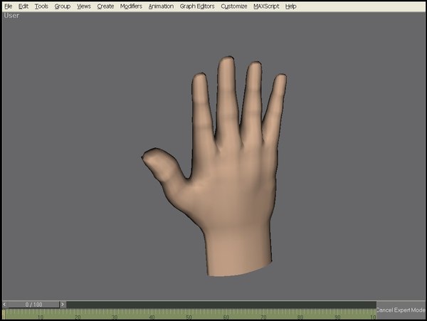 Free Rigged 3D Hand Models | TurboSquid