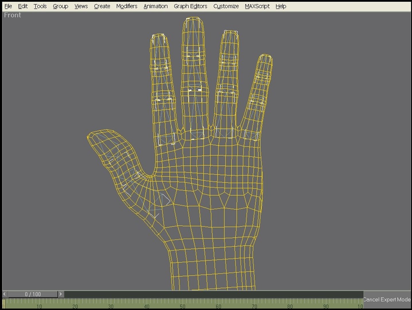 Free Max Model Hand