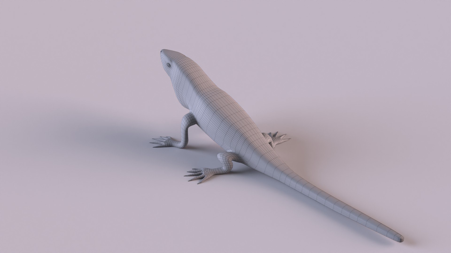 3d anole lizard model
