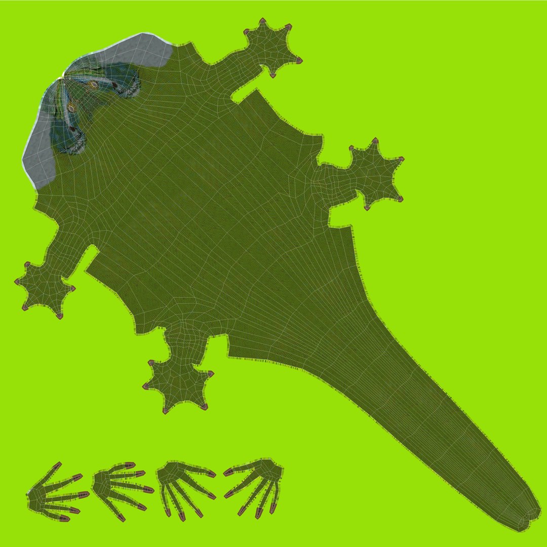 3d anole lizard model