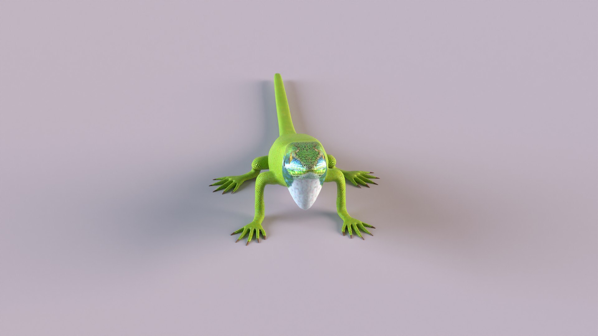 3d anole lizard model