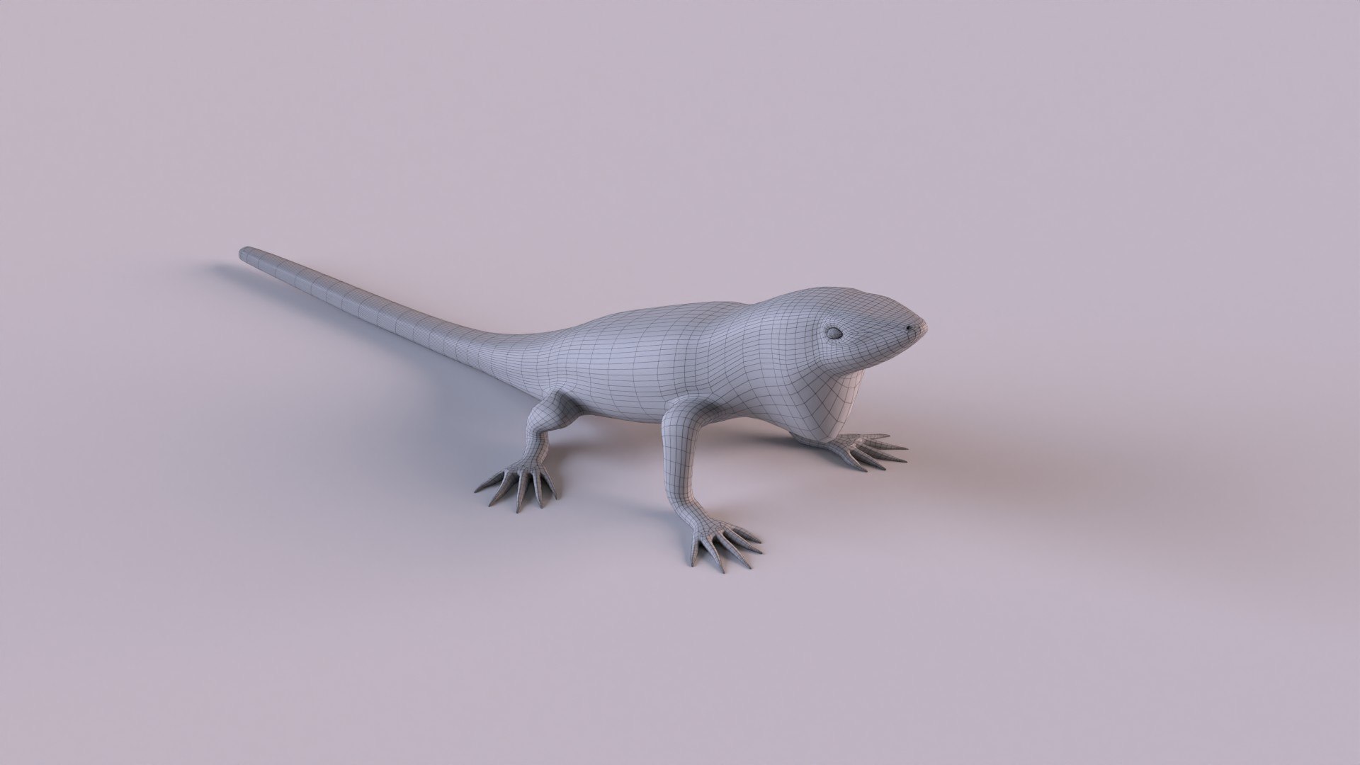 3d anole lizard model