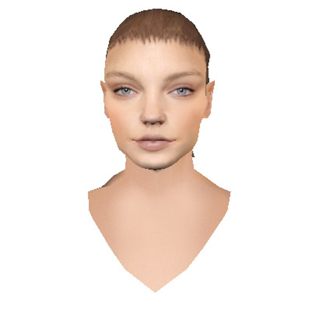 3d Female Head