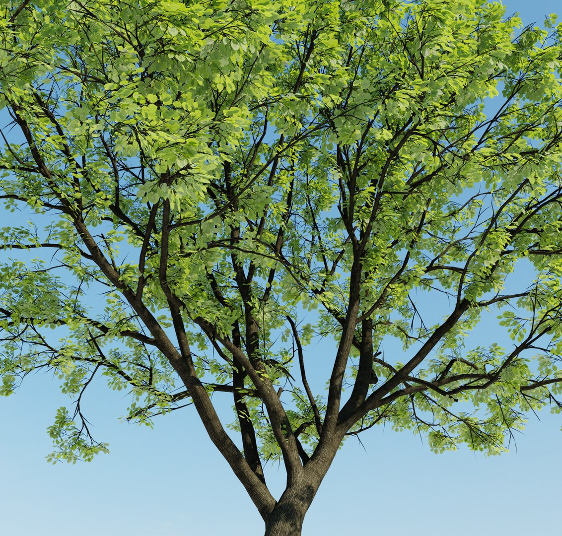 3D Tree Nature Model - TurboSquid 1619165