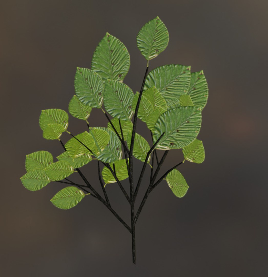 3D Tree Nature Model - TurboSquid 1619165
