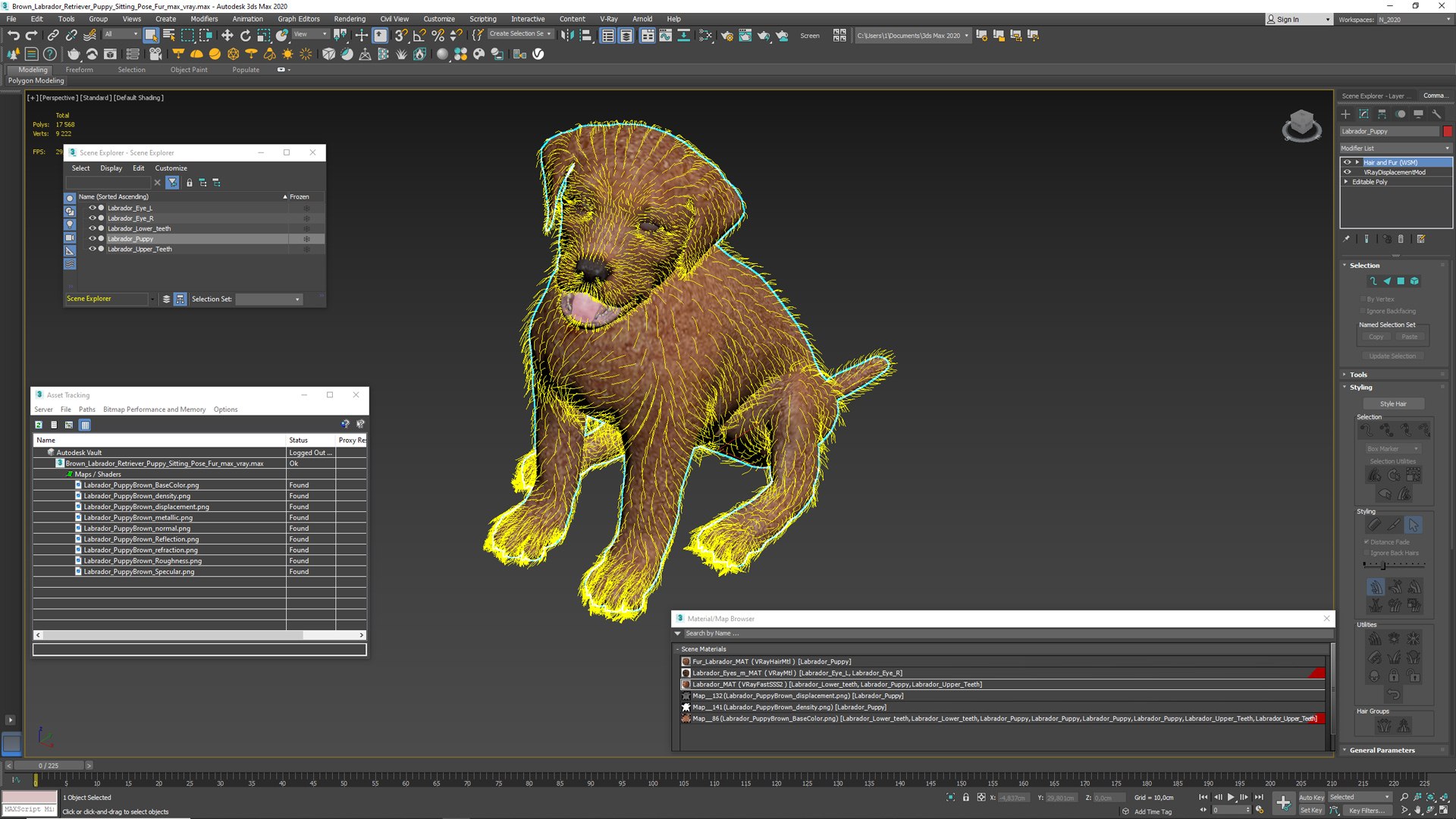 Brown Labrador Retriever Puppy Sitting Pose Fur Model - TurboSquid 2405860
