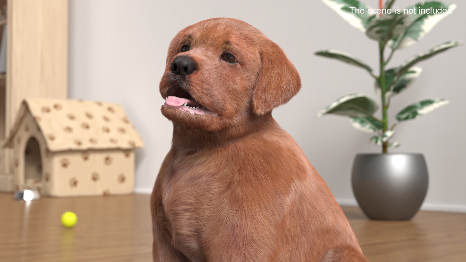 Brown Labrador Retriever Puppy Sitting Pose Fur Model - TurboSquid 2405860