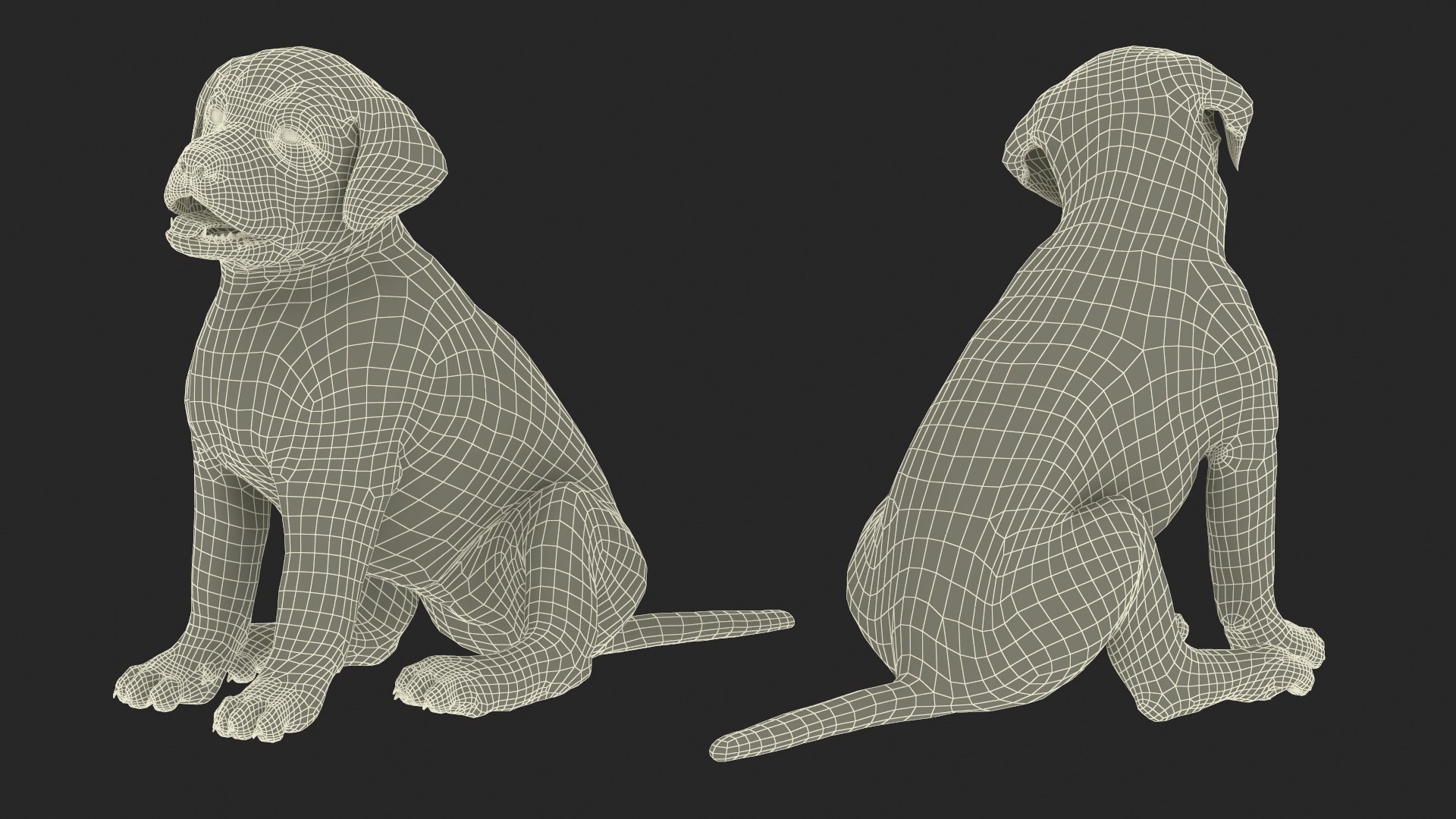 Brown Labrador Retriever Puppy Sitting Pose Fur Model - TurboSquid 2405860