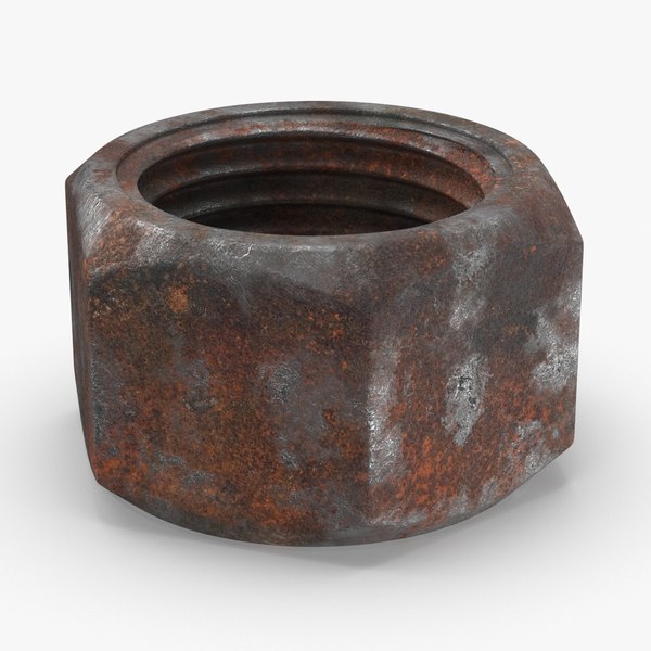 Nut 3D Models for Download | TurboSquid