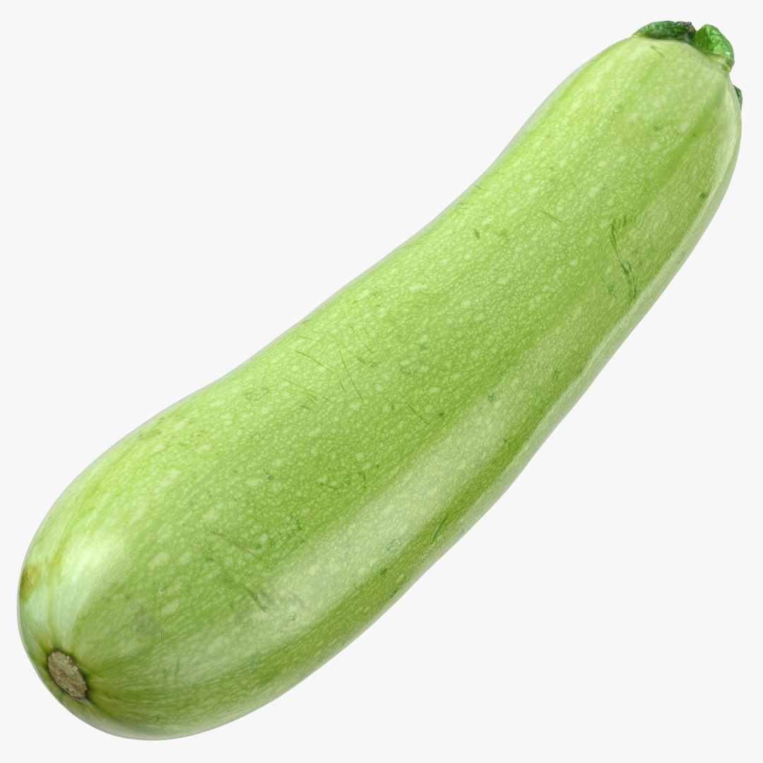 3D Zucchini Cousa Squash 03 - TurboSquid 1485145