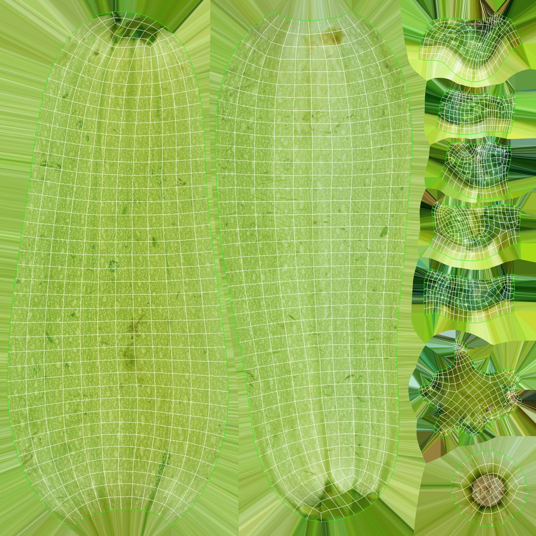 3D zucchini cousa squash 03 - TurboSquid 1485145