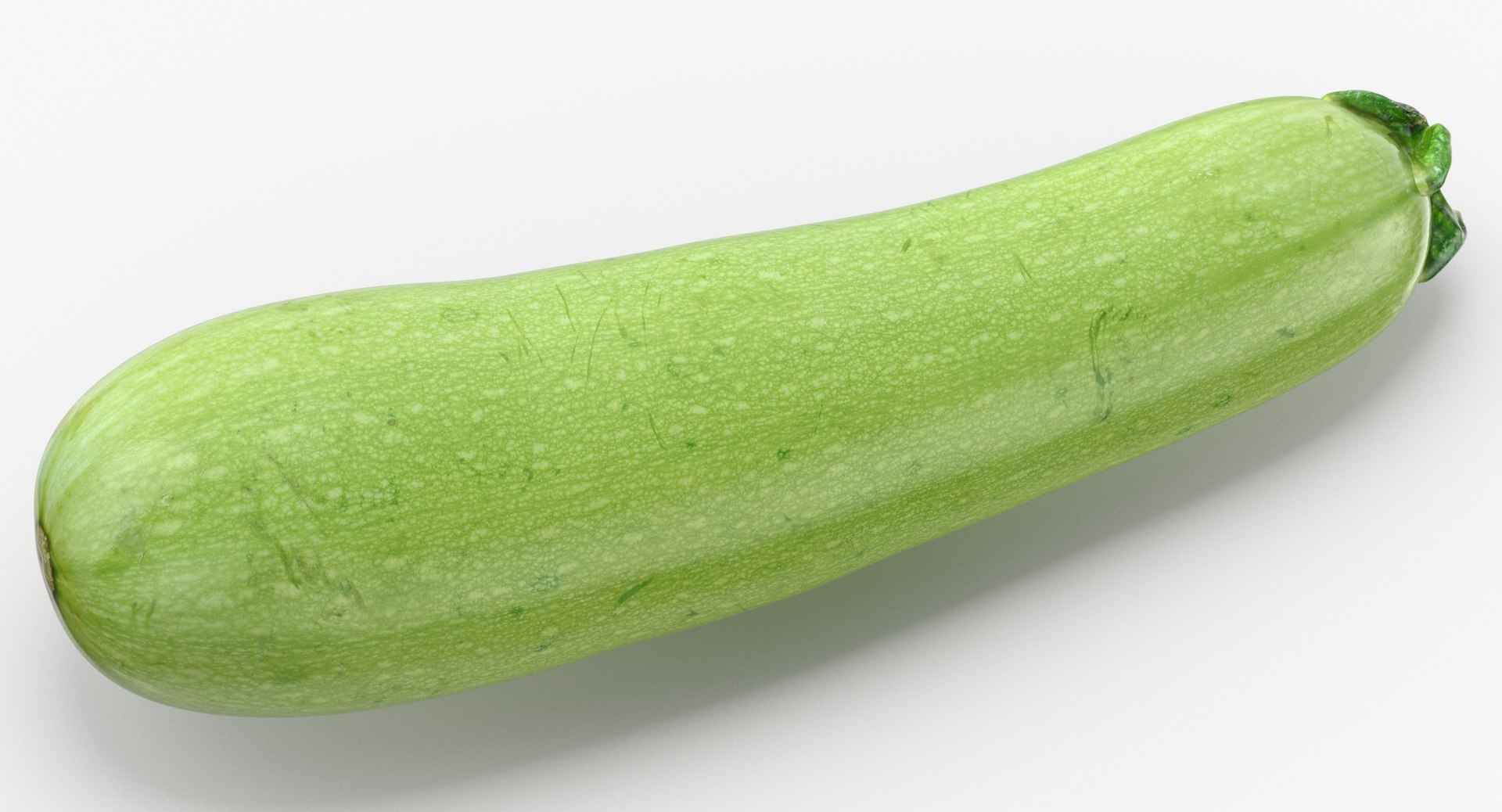 3D Zucchini Cousa Squash 03 - TurboSquid 1485145