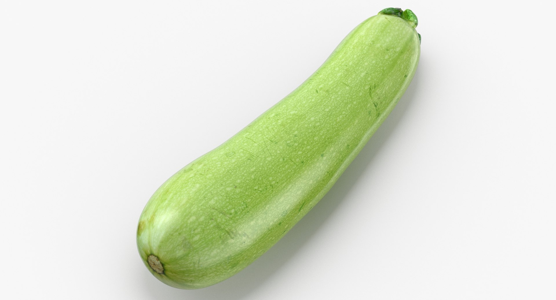 3D Zucchini Cousa Squash 03 - TurboSquid 1485145