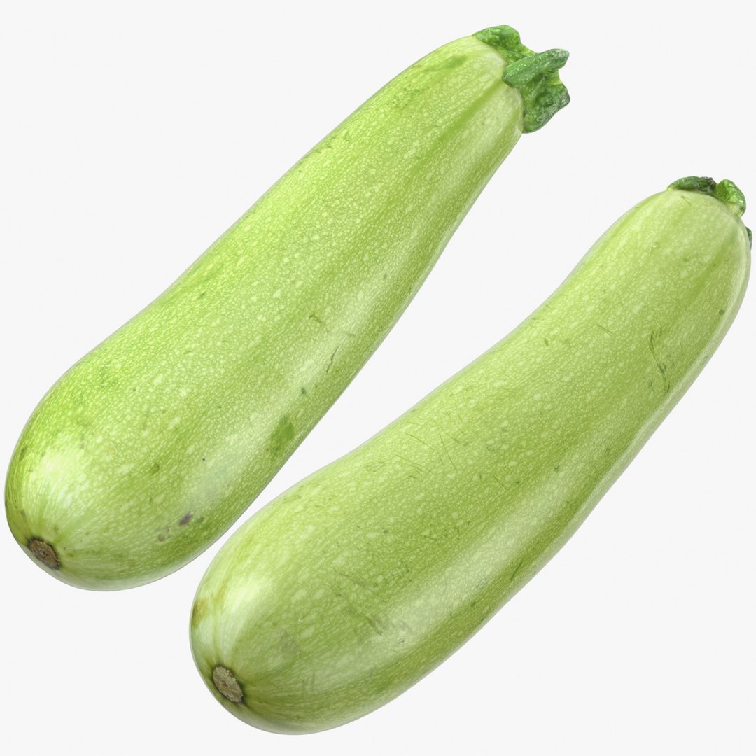 3D zucchini cousa squash 03 - TurboSquid 1485145