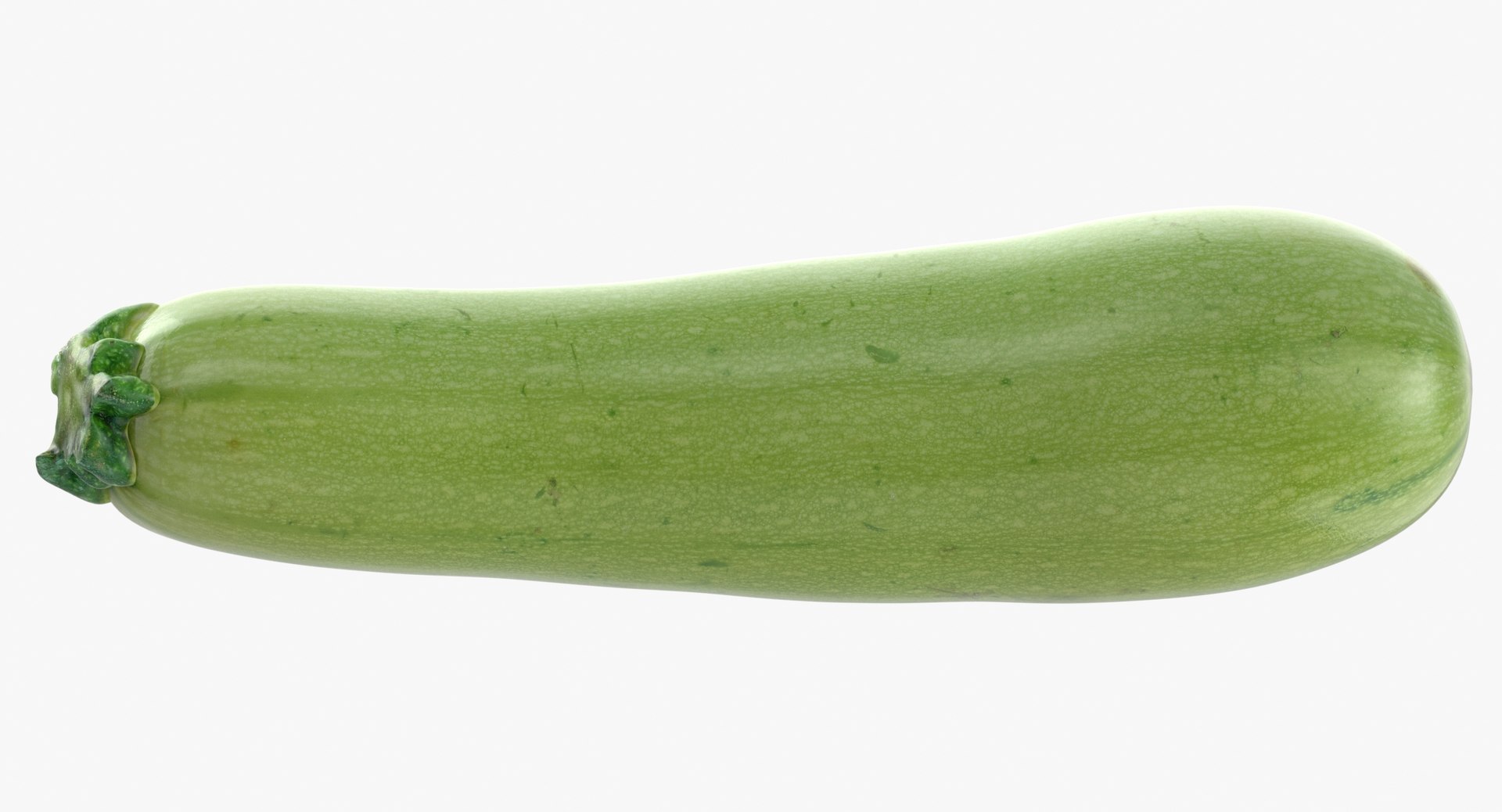 3D Zucchini Cousa Squash 03 - TurboSquid 1485145