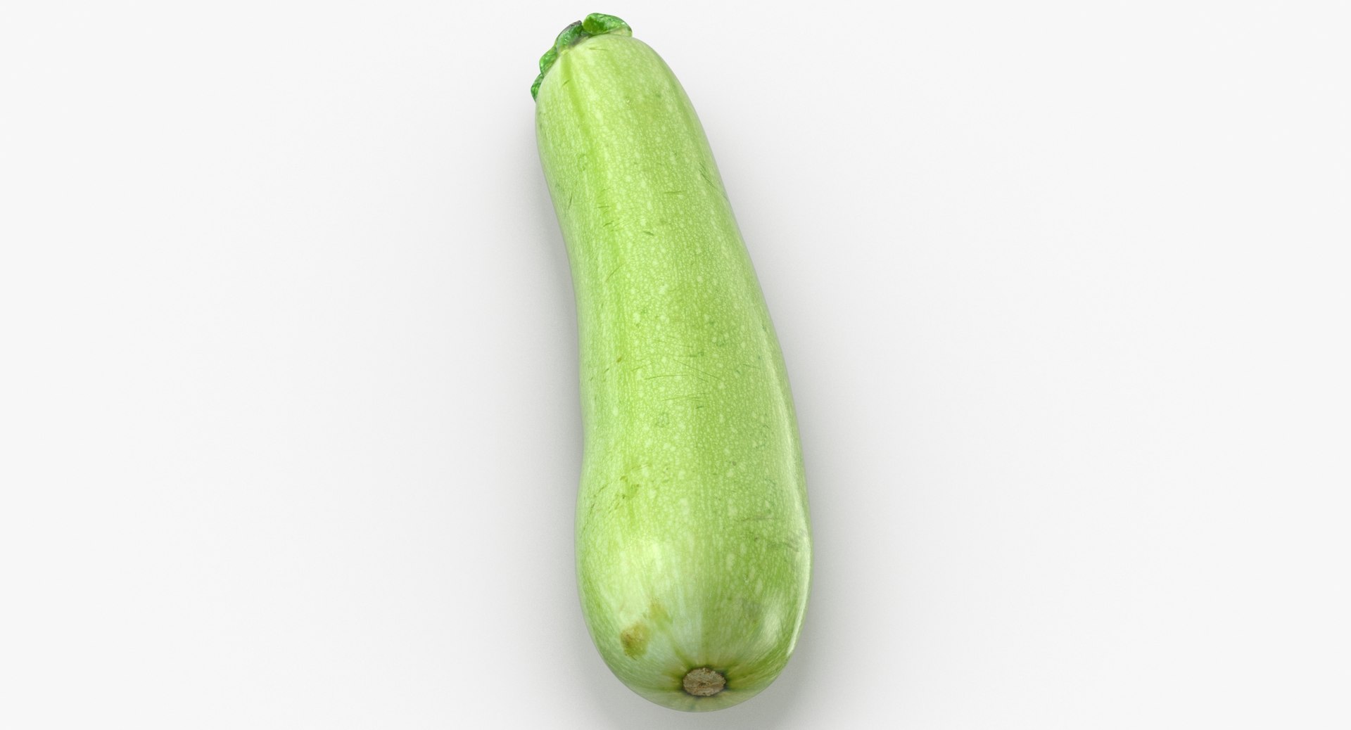 3D zucchini cousa squash 03 - TurboSquid 1485145