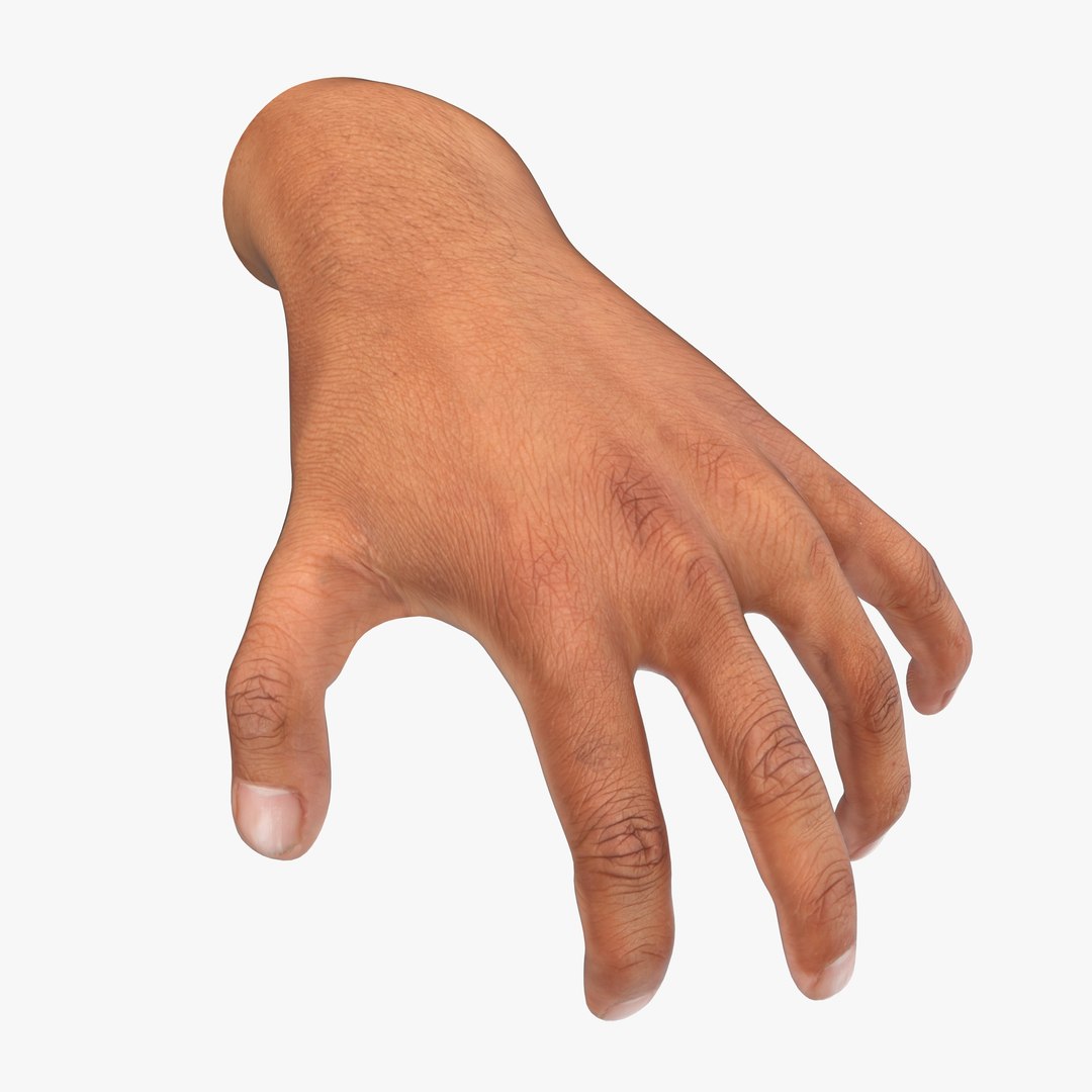 3ds max hand rigged poses skin