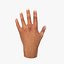 3ds Max Hand Rigged Poses Skin